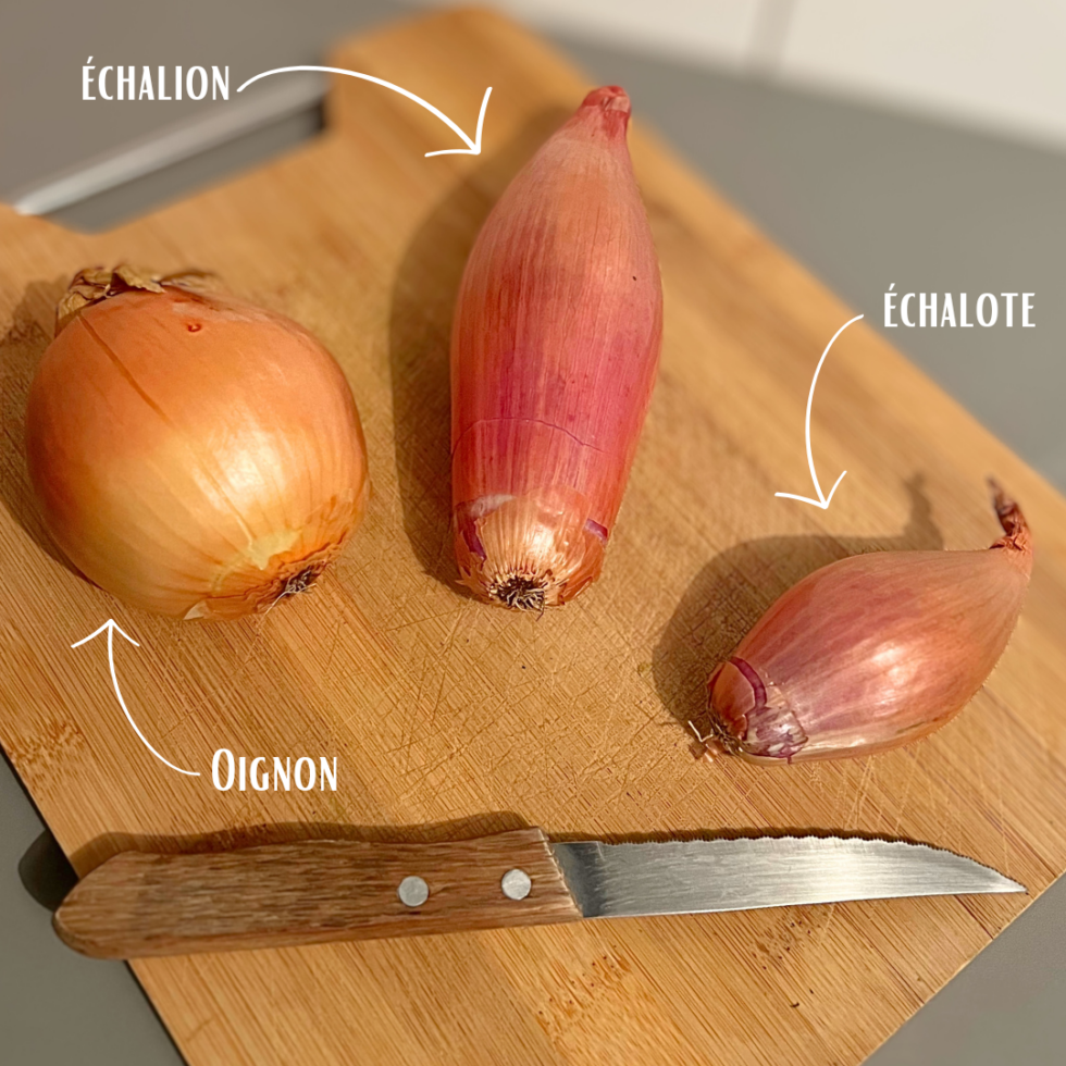 Échalion : oignon ou échalote ? | Ferme des Volcans